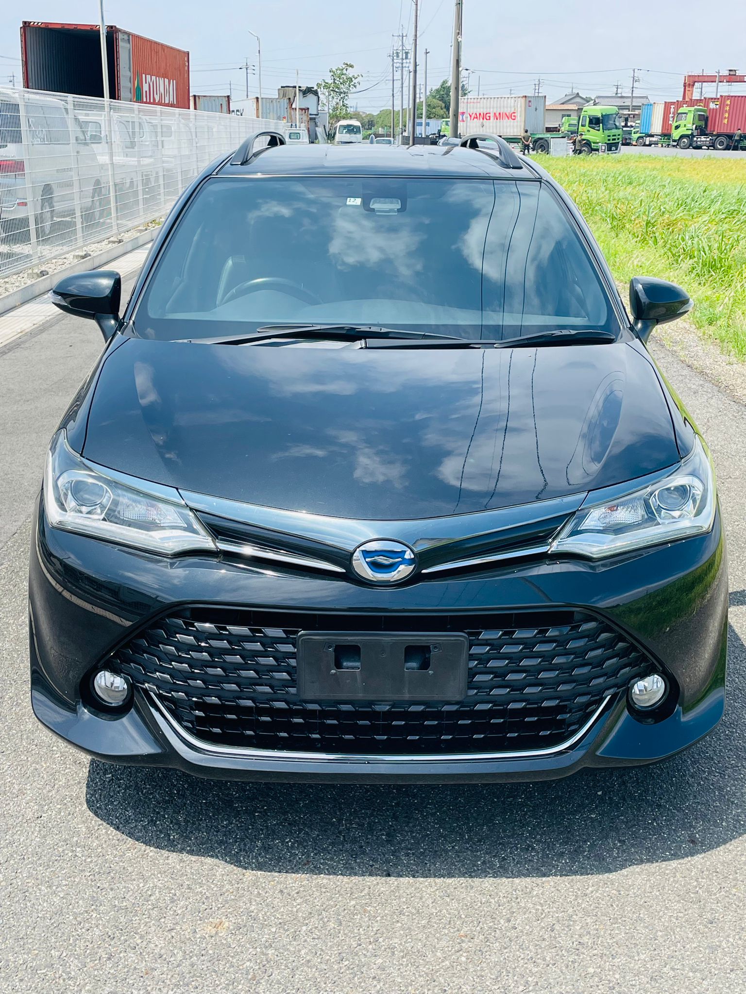 Toyota Corolla Fielder Hybrid WXB – Carzone